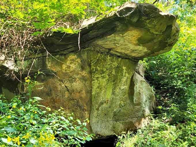 This mushroom-shaped rock formation proves that nature has a sense of humor and plenty of time to show it.