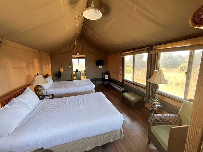 Safari-style accommodations with panoramic windows ensure you never miss a single elephant sighting from your surprisingly comfortable bed.