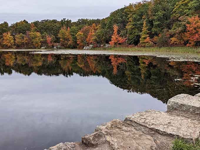 Fall foliage reflecting perfectly in still water, creating that mirror effect that makes photographers weep with joy and envy.