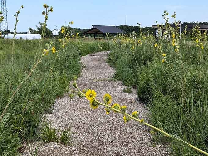 Nature trails wind through areas where contaminated buildings once stood, now returned to their peaceful, pastoral glory.
