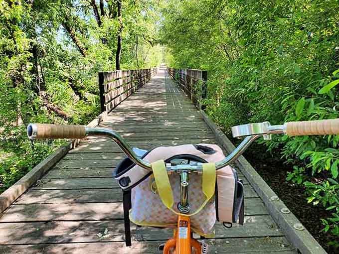Your trusty bike basket awaits the journey ahead, ready to carry snacks through this green tunnel paradise.