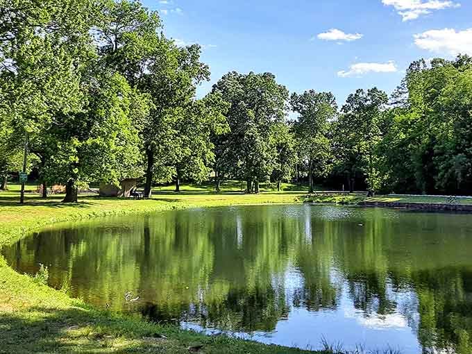 Fernridge Park's walking paths are nature's free gym membership, minus the intimidating equipment and judgmental twenty-somethings in spandex.