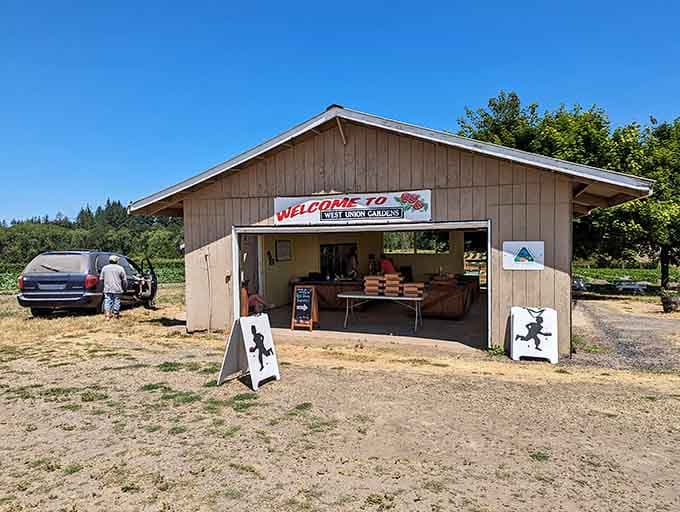The farm stand welcomes visitors with simple charm, offering fresh picks without any unnecessary fuss or fanfare.