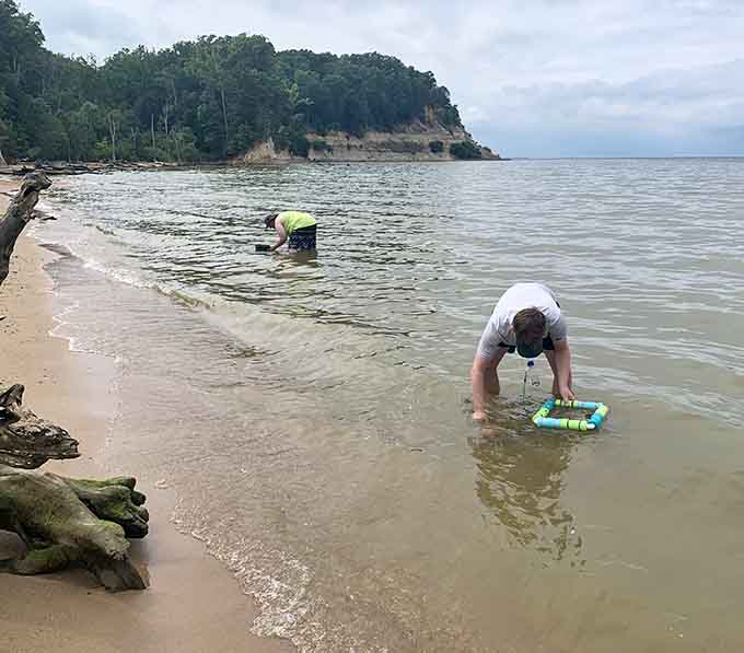Armed with sieves and determination, modern treasure hunters search for teeth older than mountains.