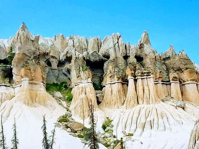 A lineup of hoodoos wearing their caprock hats, standing at attention like nature's own honor guard ceremony.