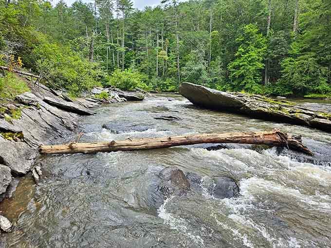 Mother Nature's obstacle course, carved over millennia and ready for your rubber raft adventure.