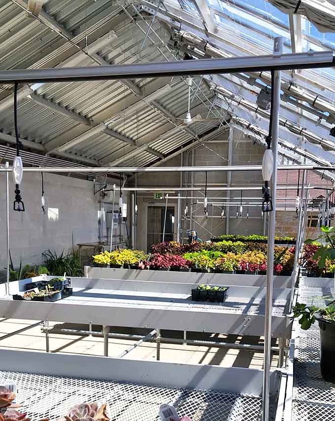 Inside the greenhouse, plants get the five-star treatment with more technology than most people's home offices.