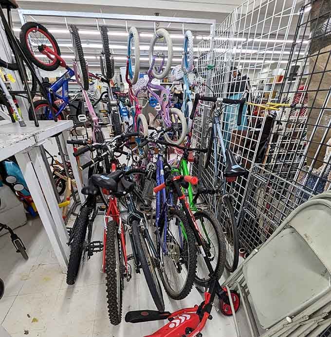 Bicycles stand ready for adventure, offering two-wheeled freedom at prices that make sense for every budget.