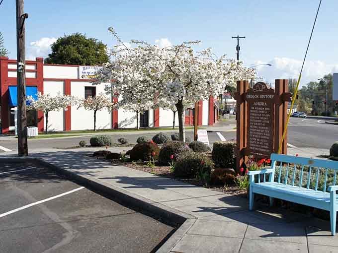 Flowering trees frame the street like nature's own welcome committee, blooming with small-town pride and springtime joy.