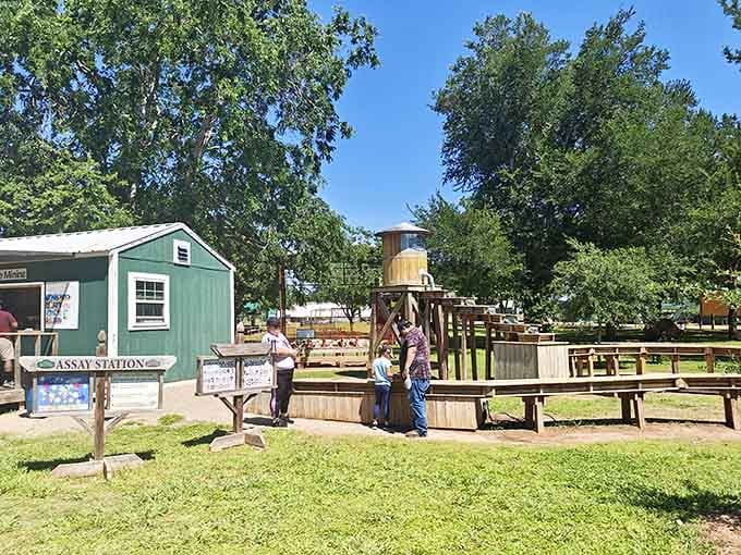 The rustic water tower and wooden play structures create that authentic farm atmosphere kids remember for years.