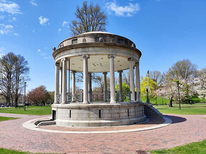 Boston's historic bandstand stands proudly surrounded by spring's most enthusiastic cherry blossom display.