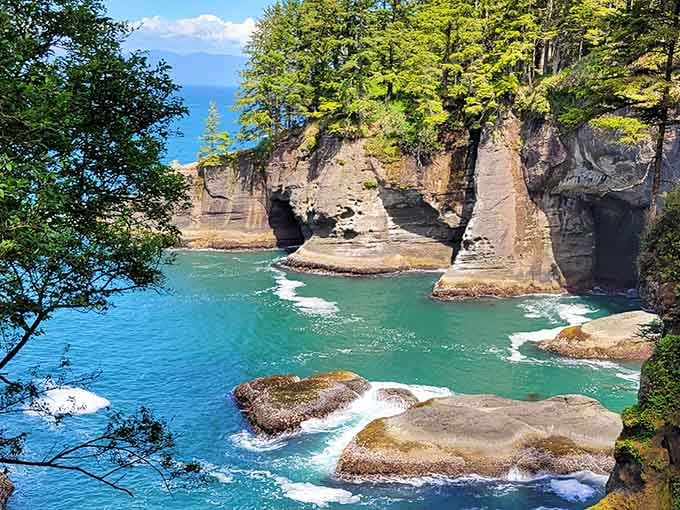 Sea stacks stand guard at the edge of America where the Pacific meets dramatic coastal cliffs.