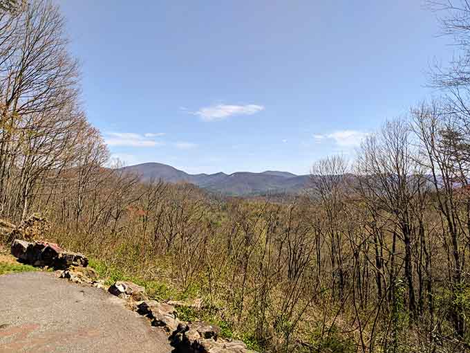 Bare winter branches create natural frames for distant peaks in this quiet, contemplative view that whispers rather than shouts.