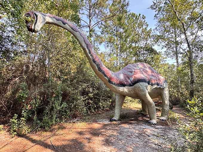 This gentle giant's long neck stretches skyward through dappled forest light, frozen mid-stride among the Alabama pines.