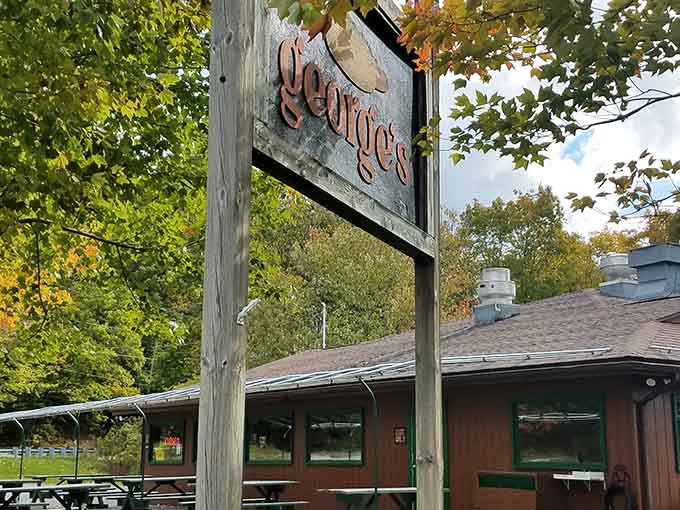 Nestled among the trees, this rustic sign points the way to hot dog heaven for those lucky enough to find it.