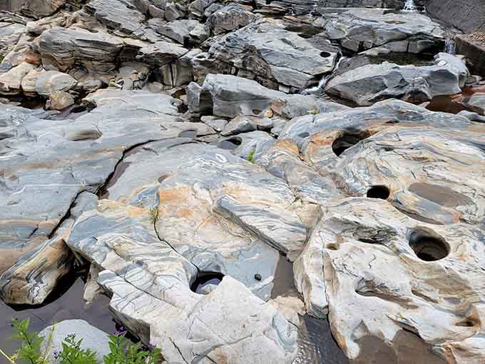 Smooth potholes dot the riverbed like nature's own Swiss cheese, each circular depression carved by swirling glacial meltwater and trapped stones.