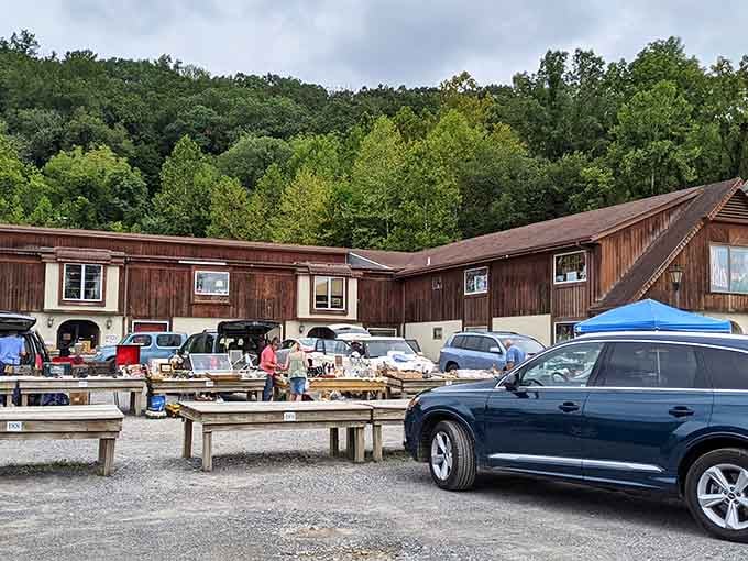 Wooden picnic tables display antiques and collectibles against a backdrop of lush green hills and clear blue skies.