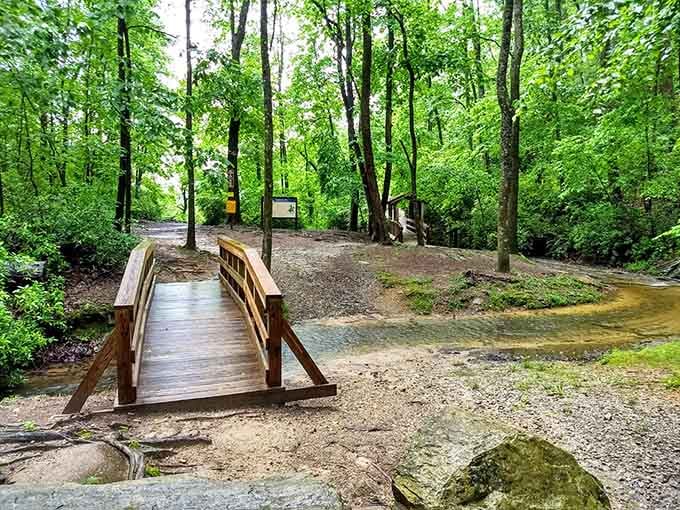 A charming wooden bridge crosses the creek, inviting you into the forest like a friendly handshake from the wilderness.