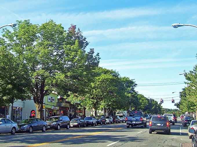 Mature trees shade the street while shops beckon with promises of treasures you didn't know you needed.