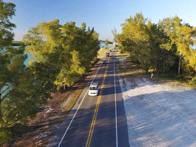 Golden autumn trees create a natural tunnel over the road, proving Florida does have seasons after all.