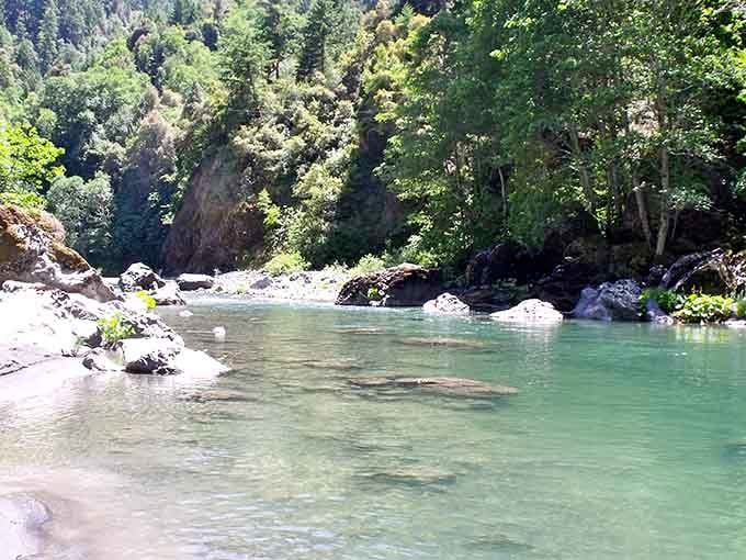 That emerald water against those smooth boulders creates a scene straight out of a nature documentary's highlight reel.