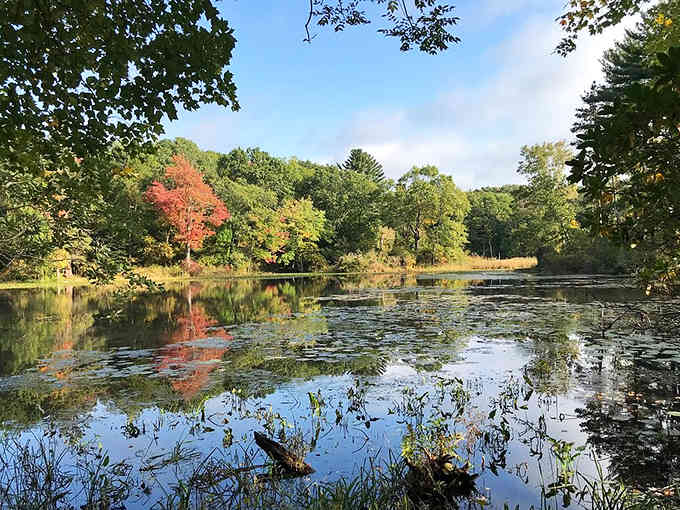 Autumn's reflection creates a living postcard where nature shows off better than any Instagram filter ever could.