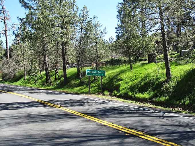 That winding road through spring-green hills looks like someone drew it specifically for a Sunday drive soundtrack.