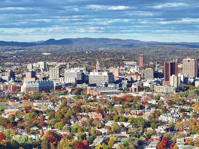 The city skyline rises from autumn trees like a modern forest of glass and steel.