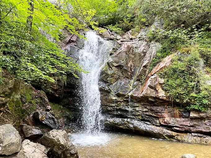 Tucked between moss-covered boulders, this waterfall creates a peaceful scene that makes you forget the outside world exists.