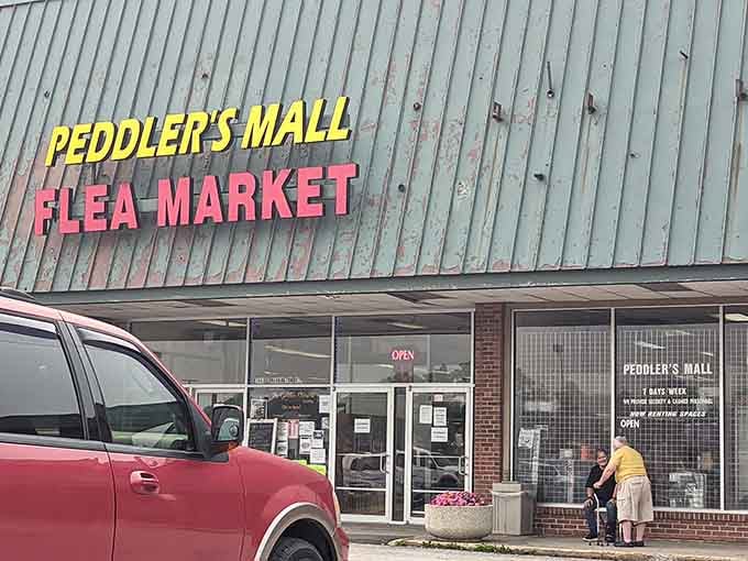 Bold yellow and pink letters announce bargains with the enthusiasm of a carnival barker who actually delivers on promises.