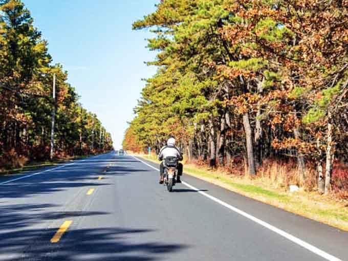 A lone motorcyclist cruises through the pine corridor, living out every Easy Rider fantasy on New Jersey's wildest byway.