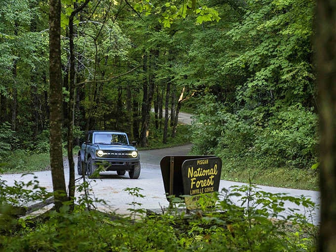 The National Forest sign welcomes travelers into green cathedral-like woods where nature still runs the show beautifully.