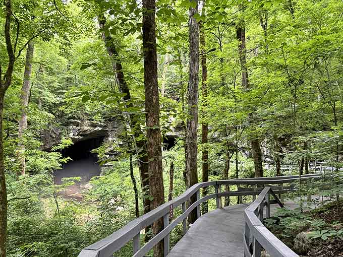 This wooden walkway winds through lush greenery, offering an easy stroll to one of nature's most impressive doorways.