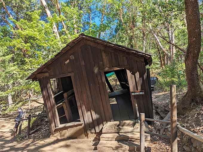 The tilted shack looks like it wandered out of a Dr. Seuss book and decided to settle down here.