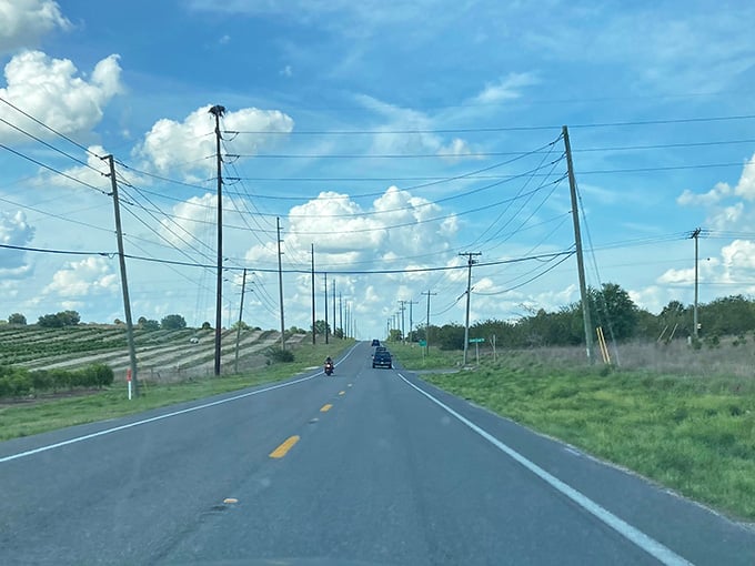 Those puffy clouds and endless citrus groves remind you that central Florida has its own kind of rolling beauty.