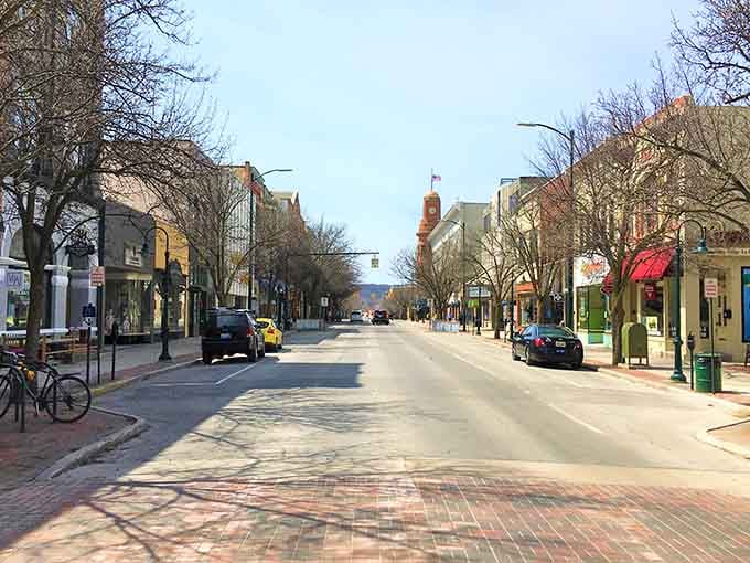 Traverse City's main street stretches wide and welcoming, lined with trees that promise shade for summer shopping adventures.