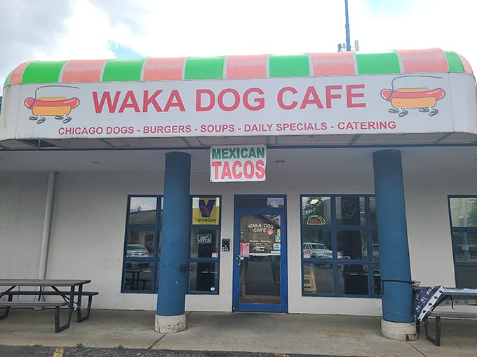 Those pink and green stripes make this cafe look like a party invitation, promising Chicago dogs and tacos.