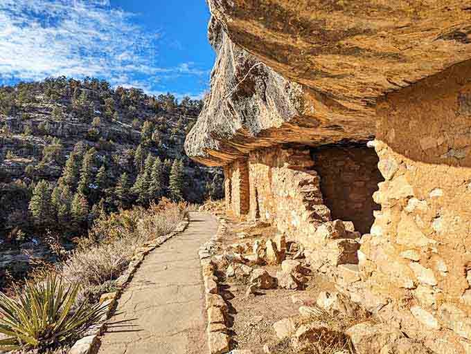 Ancient stone walls tucked beneath limestone overhangs show how cleverly people built homes using the canyon's natural architecture.