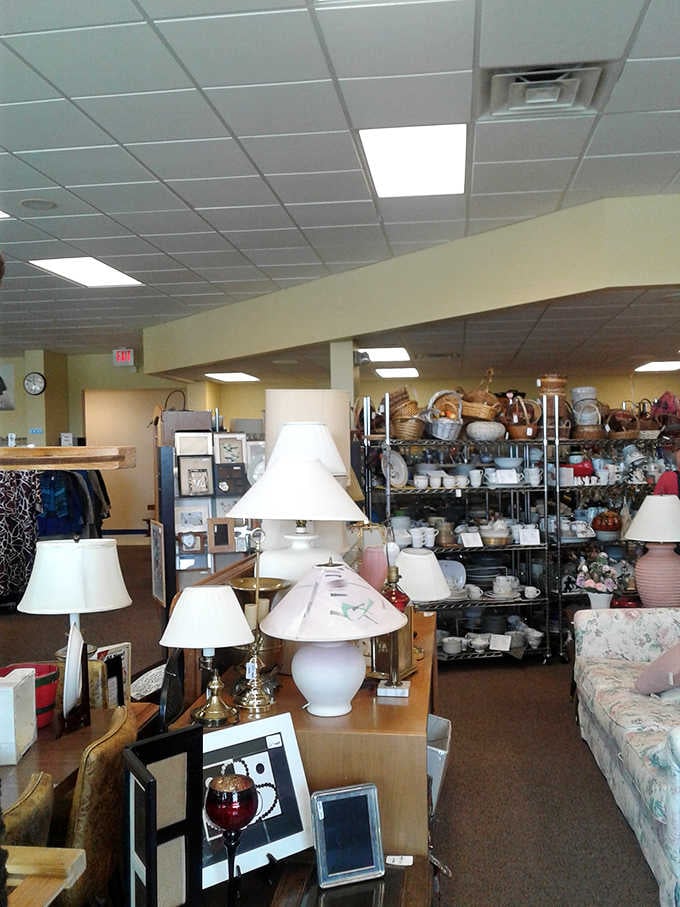 A warm collection of lamps in every shape and size glows softly beside shelves stacked high with dishes and woven baskets.