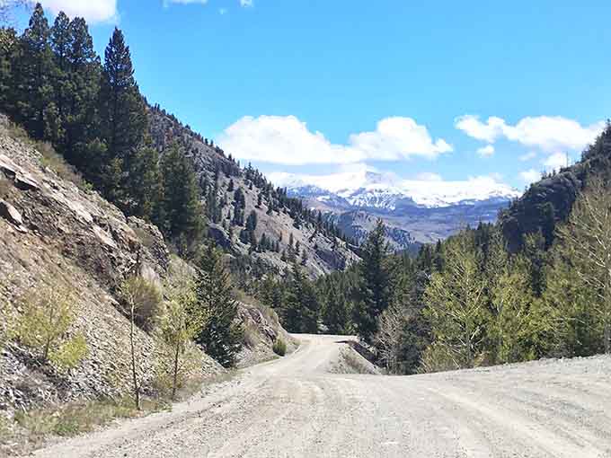 The gravel road curves through canyon walls where snow-capped peaks peek through like they're playing hide and seek.