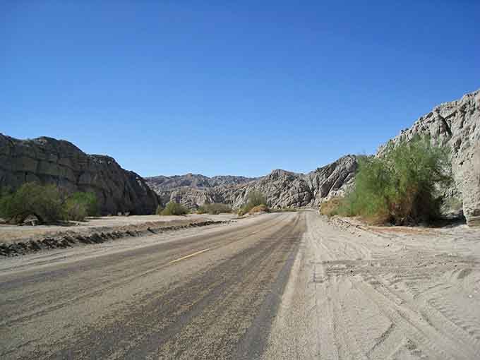 Desert meets mountain in this stunning canyon where hardy shrubs prove life finds a way even here.