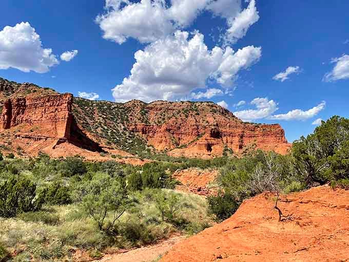 Those russet cliffs and desert vegetation create a Western landscape that John Wayne would've absolutely loved.