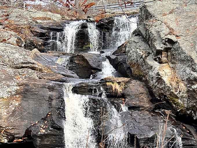 Smooth rocks create natural sculptures as water tumbles between them in multiple playful cascades and pools.