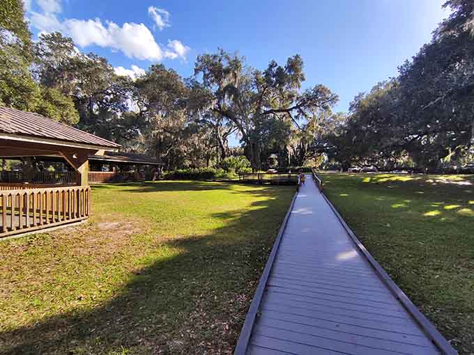 The boardwalk stretches through moss-draped oaks, offering peaceful views of Florida's natural landscape at its finest.