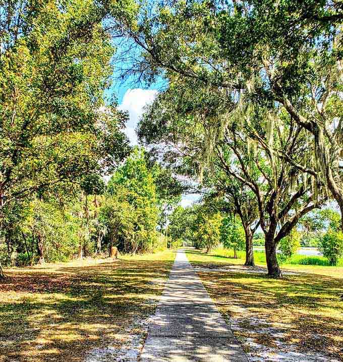 This tree-lined path leads to peaceful shores where time slows down and worries float away.