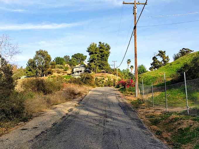 Rolling green hills stretch toward distant mountains where cattle outnumber people and that's exactly how locals prefer it.