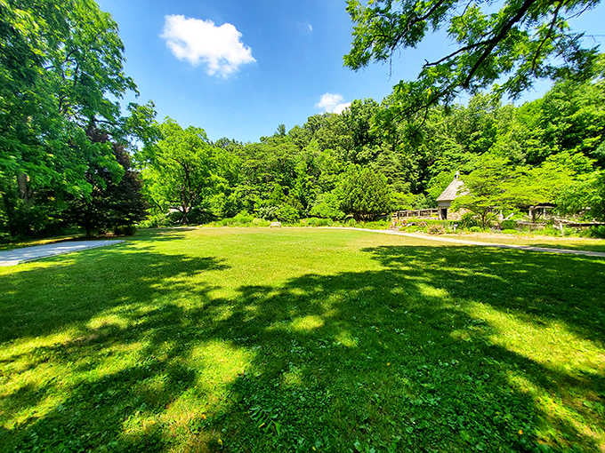 Sunlight dapples this emerald lawn surrounded by towering trees, creating the kind of picnic spot poets write sonnets about.