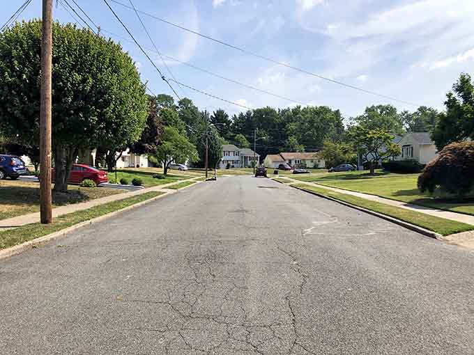 Sunlit and serene, these quiet residential roads prove that sometimes the best destination is simply slowing down.