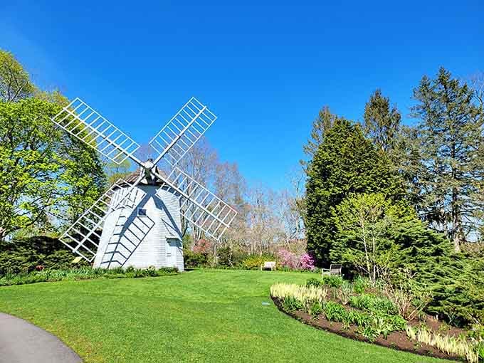 A white windmill against a perfect blue sky &mdash; suddenly you're in Holland, but the accent is Cape Cod.