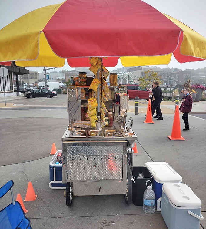 The classic hot dog cart under a cheerful umbrella brings street food tradition to life, rain or shine.